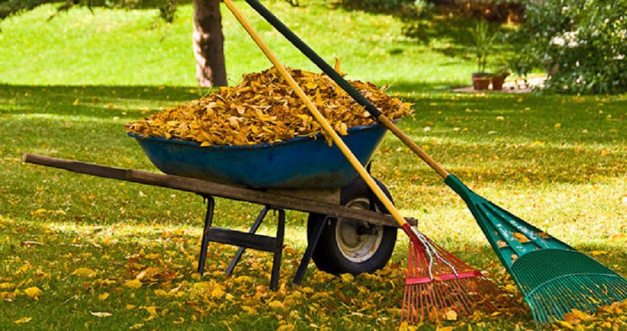 Landscaping Clean Up Tips – Atlanta Dumpster Rental Services